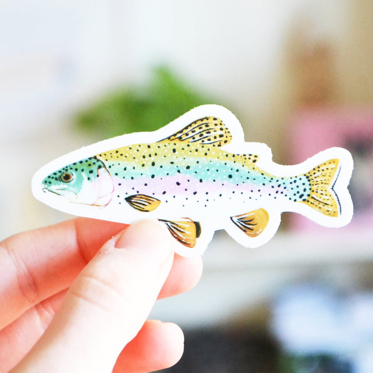 Rainbow Trout Sticker - Laura King Paints – The Woods Maine